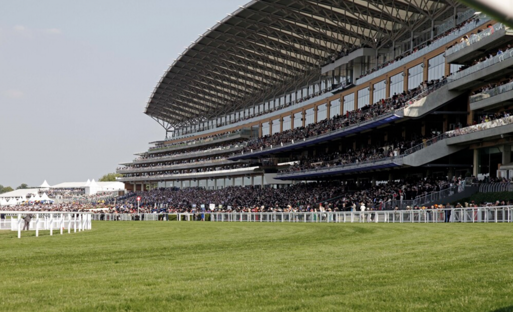 Nathaniel Barnett Bloodstock | French Bloodstock