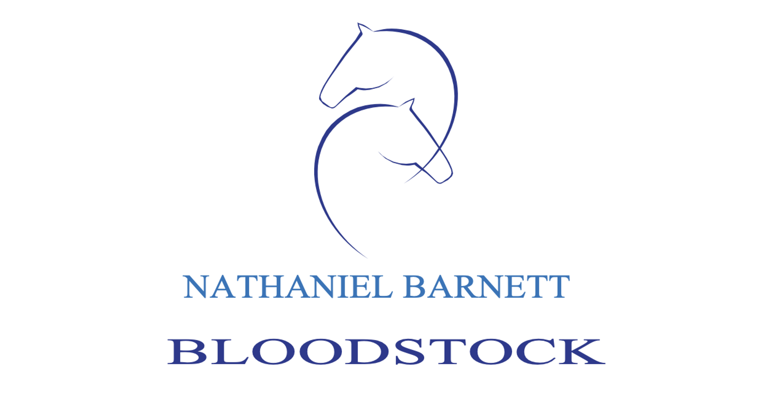 Nathaniel Barnett Bloodstock - Syndicate Ownership